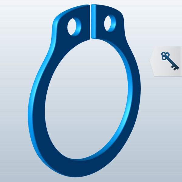 Circlip v1 Free 3D Model - .obj .stl - Free3D
