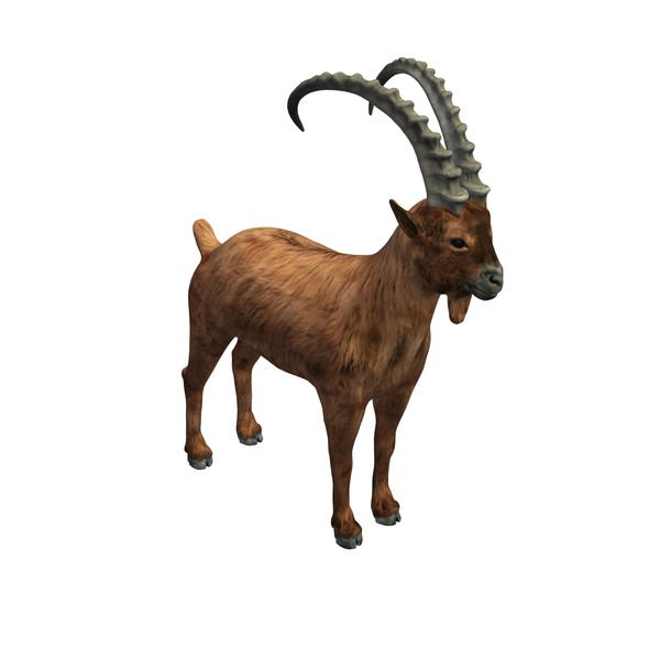 Ibex v1 Free 3D Model - .obj .stl - Free3D
