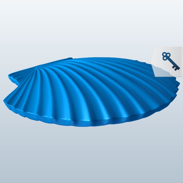 Pecten Raveneli v1 免费的3D模型 - .obj .stl - Free3D