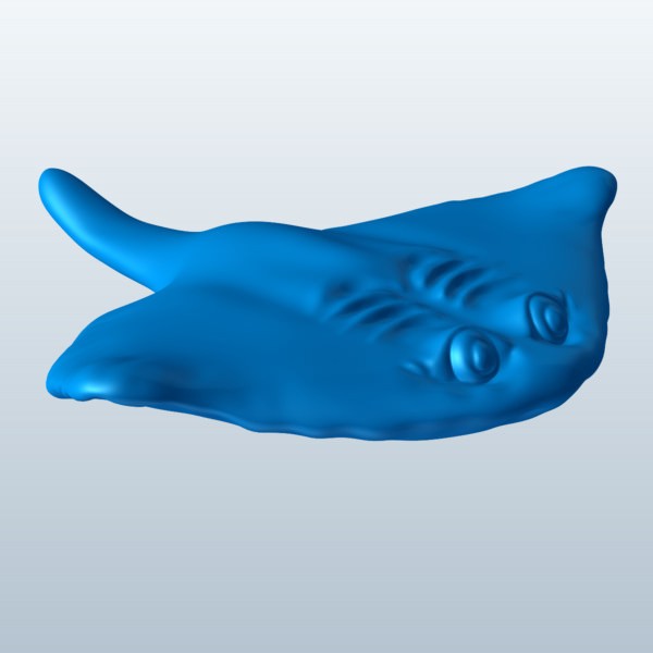 Stingray baby happy V1 Free 3D Model - .obj .stl - Free3D