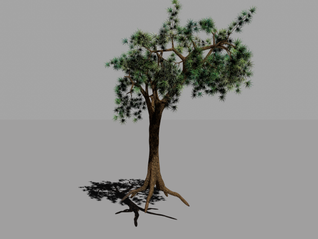 Joshua Tree Free 3D Model - .3ds - Free3D