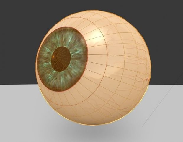 Eyeball Free 3D Model - .obj .ply .fbx .dae .3ds .x3d .blender .dxf ...
