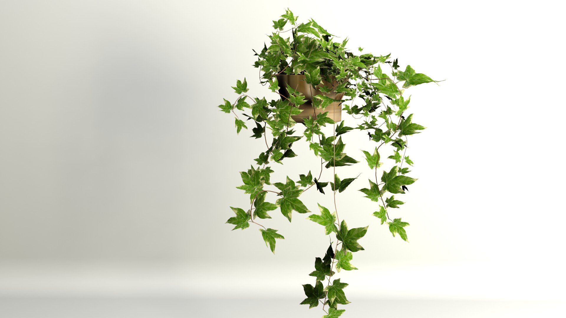 Ivy Free 3D Model - .max - Free3D