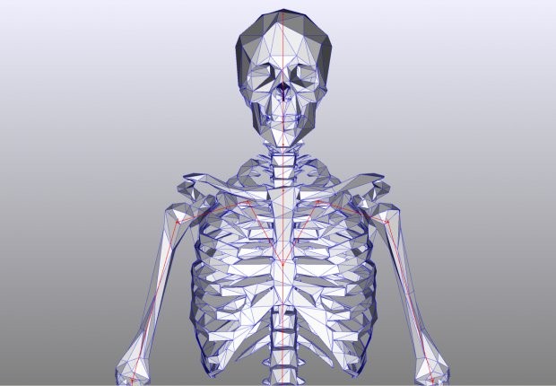 MrBones, Skeleton, LowPoly Free 3D Model - .fbx - Free3D