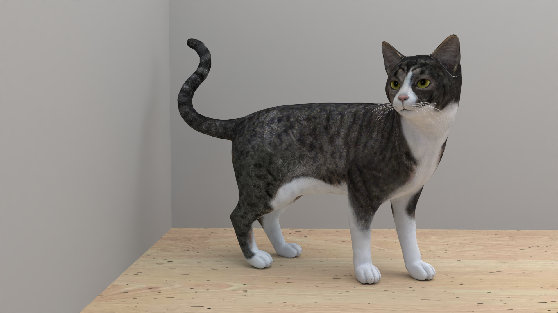 Cat Free 3D Model - .skp - Free3D