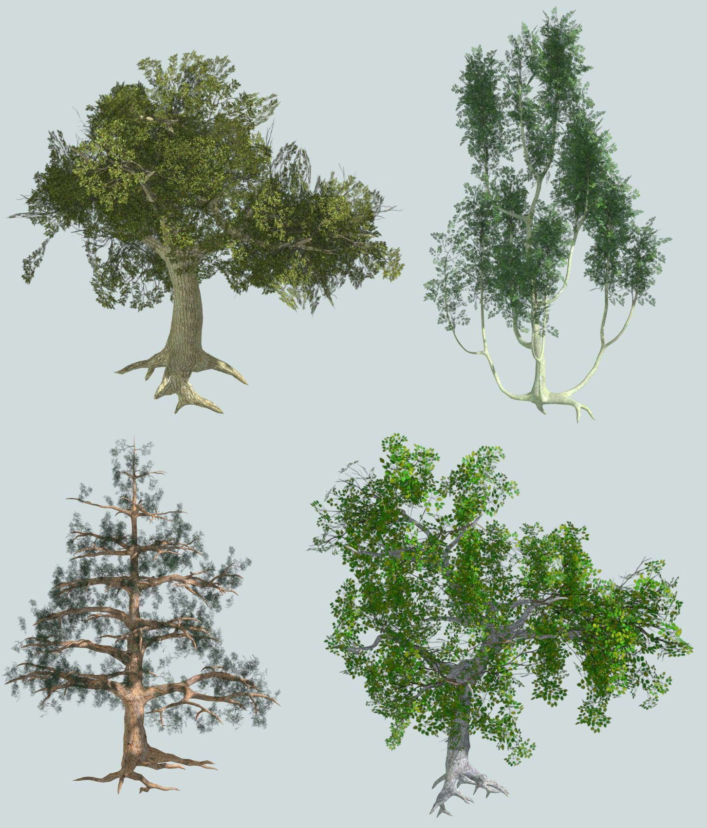 Tree pack 1 Free 3D Model - .blend - Free3D