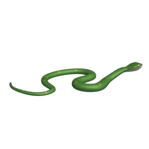 Waglers Pit Viper v1 Free 3D Model - .obj .stl - Free3D