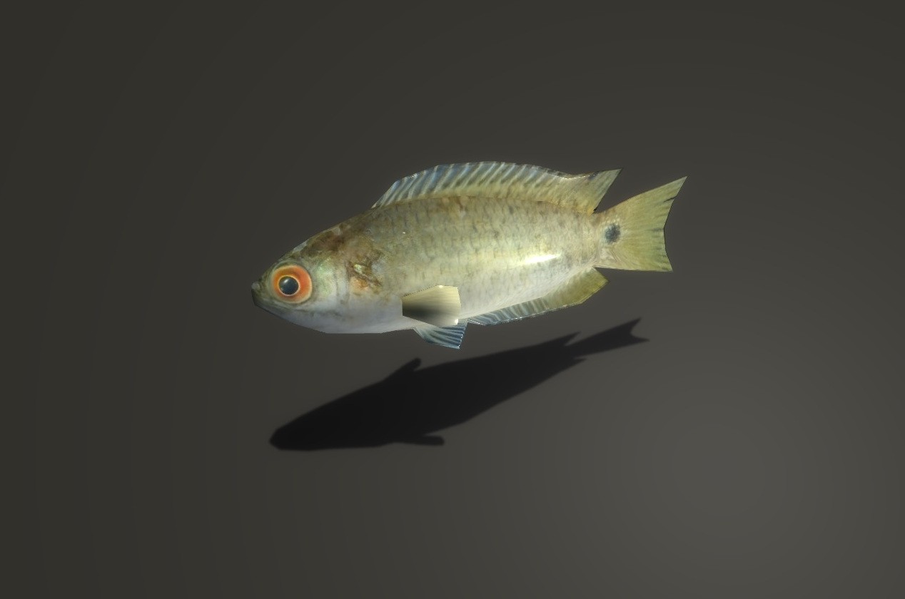 Fish - Low Poly Free 3D Model - .3ds .dae .fbx .obj - Free3D