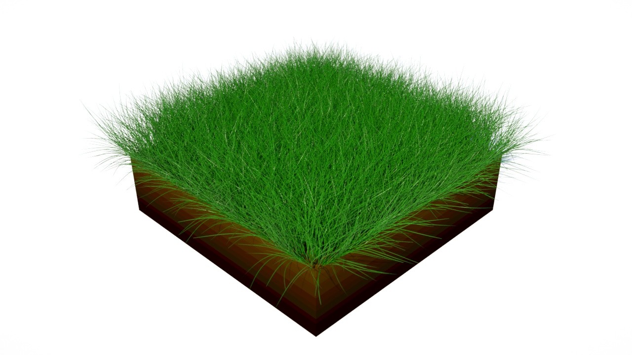 Grass Free 3D Model - .c4d - Free3D