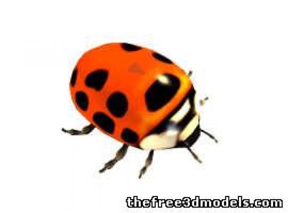 LadyBug Free 3D Model - .3ds .obj .max .lwo .mtl .sldprt - Free3D