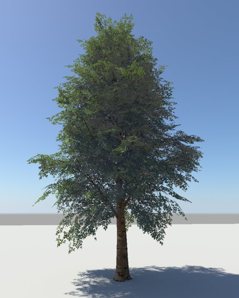 Tree02 Free 3D Model - .obj .ma - Free3D
