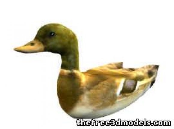 Duck Free 3D Model - .3ds .obj .max .lwo .mtl .sldprt - Free3D
