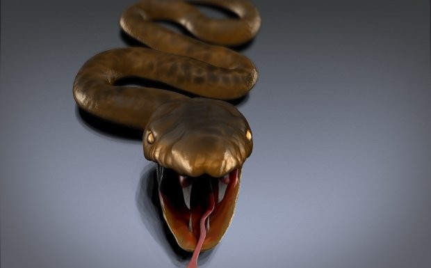Snake Free 3D Model - .3ds .obj .dae .max - Free3D