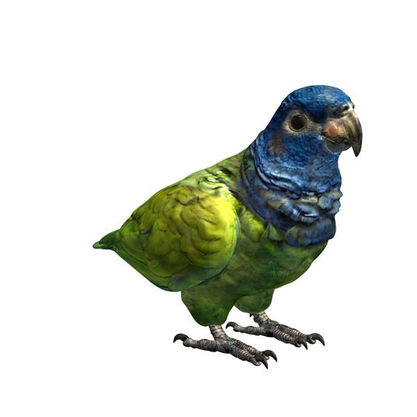 Bird v1 Free 3D Model - .obj .stl - Free3D