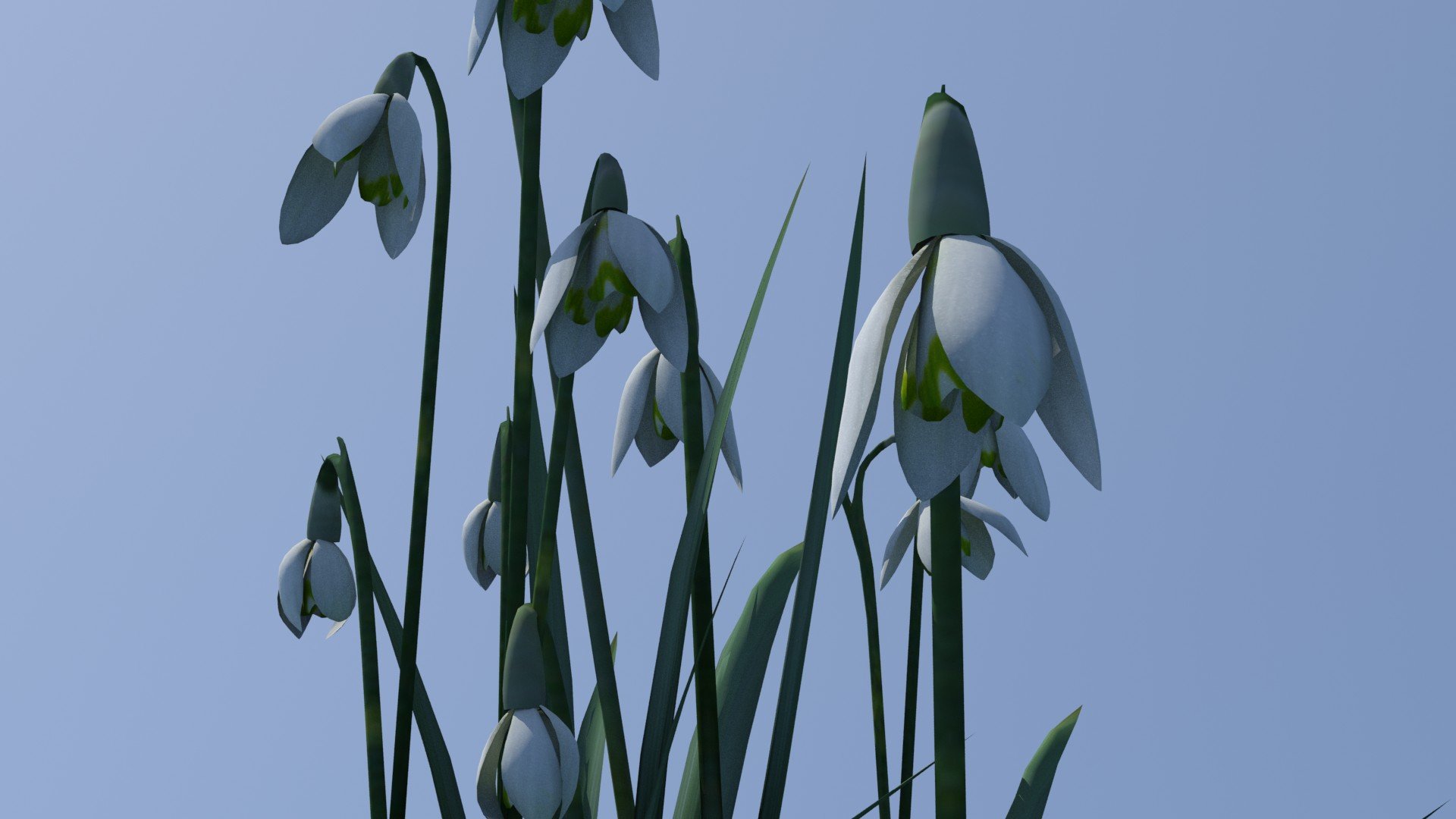 Snowdrops flower Free 3D Model - .obj .max - Free3D
