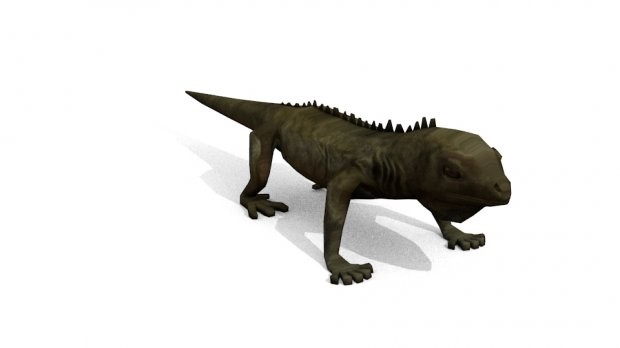 Low Poly Lizard Free 3D Model - .3ds .obj .blend .mtl - Free3D