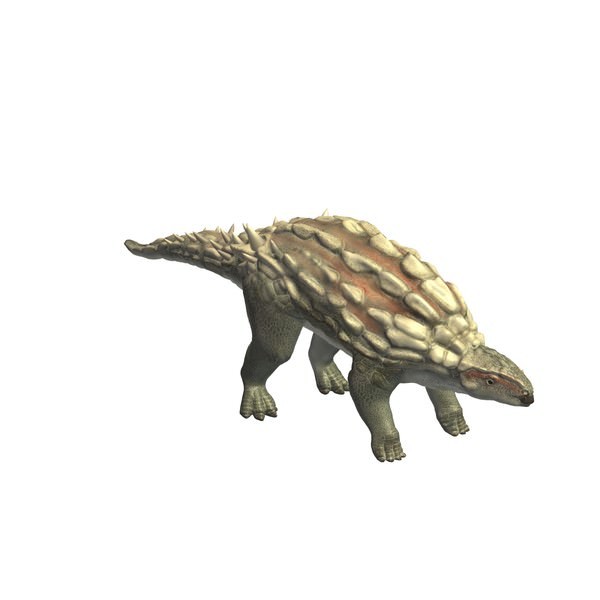 Minmi v1 Free 3D Model - .obj .stl - Free3D