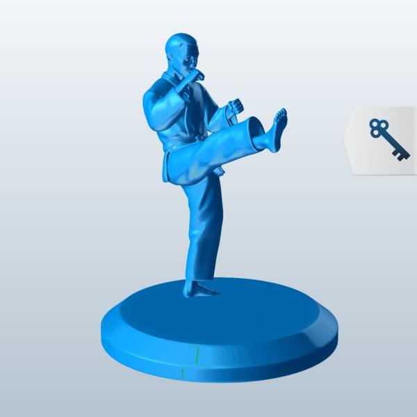 Karate front kick v1 Free 3D Model - .obj .stl - Free3D