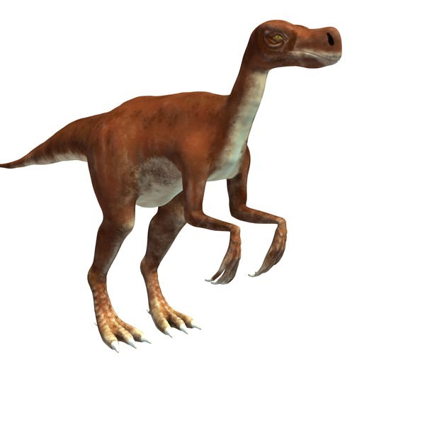 Chirostenotes v1 Free 3D Model - .obj .stl - Free3D