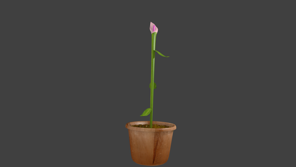 Flower Free 3D Model - .blend - Free3D