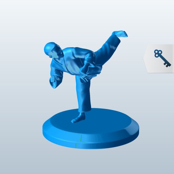 Karate Back kick v1 Free 3D Model - .obj .stl - Free3D