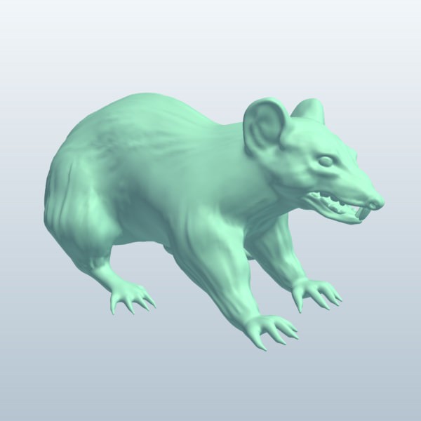 Rat v2 Free 3D Model - .obj .stl - Free3D