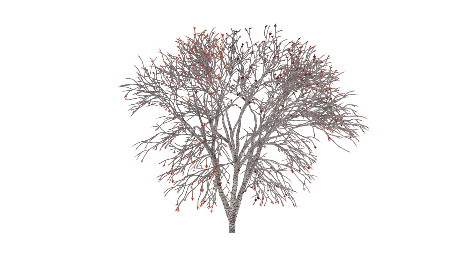 Tree 01 Free 3D Model - .blend .obj .fbx .stl .dae .abc - Free3D