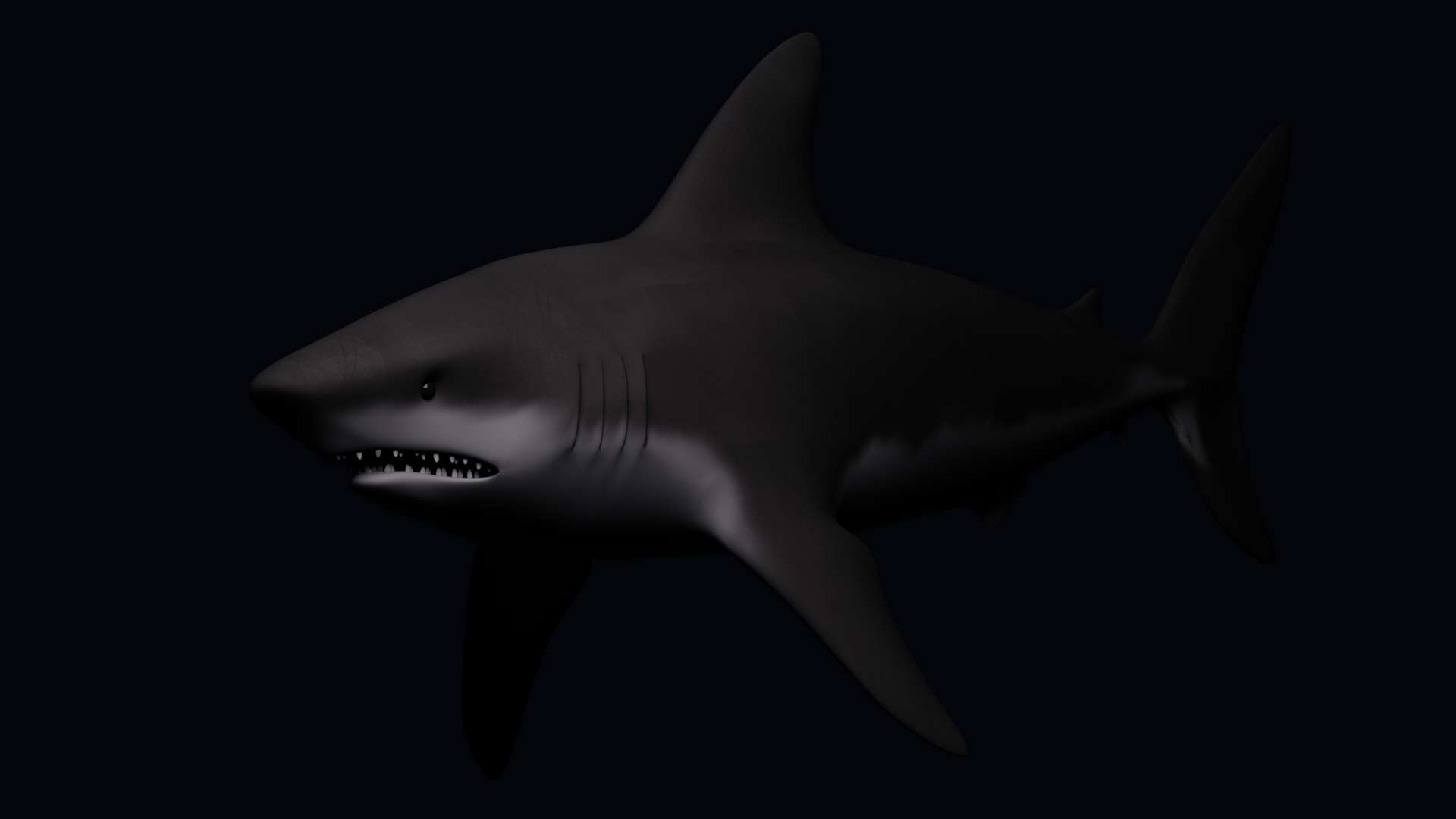 Shark Free 3D Model - .blend - Free3D