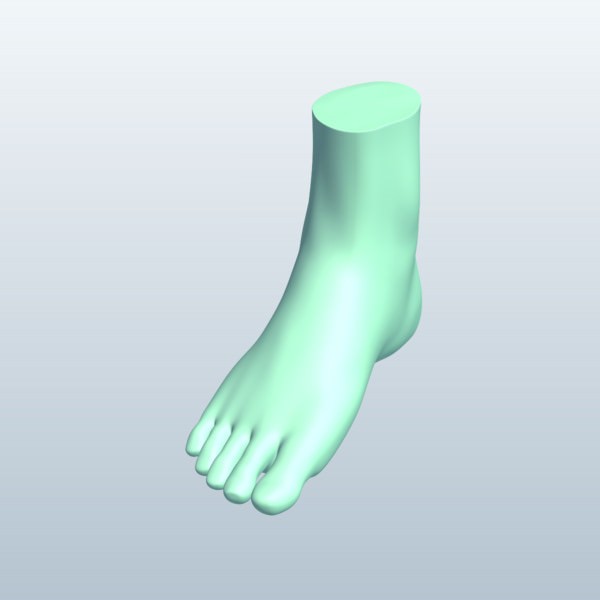 Foot V3 Free 3D Model - .obj .stl - Free3D