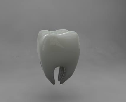 Tooth Free 3D Model - .c4d .fbx - Free3D