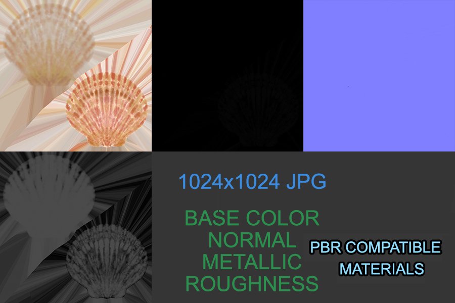 Sea Shell PBR Free 3D Model - .obj .mb .fbx - Free3D