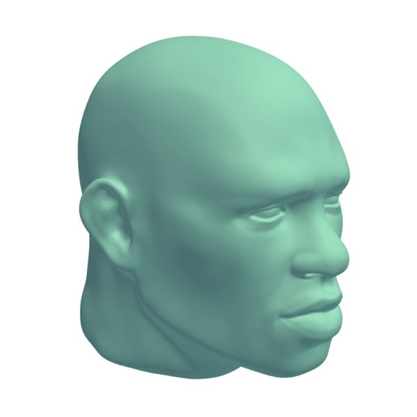 Contempt Facial Expression v1 Free 3D Model - .obj .stl - Free3D