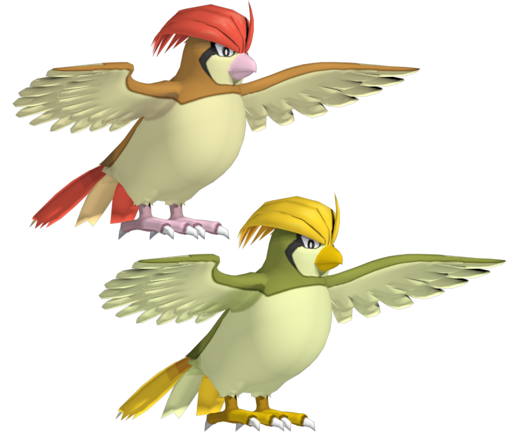 Pidgeotto (Pokemon) Free 3D Model - .dae .fbx - Free3D
