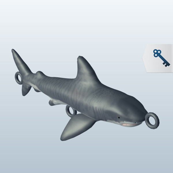 Tiger Shark v1 Free 3D Model - .obj .stl - Free3D