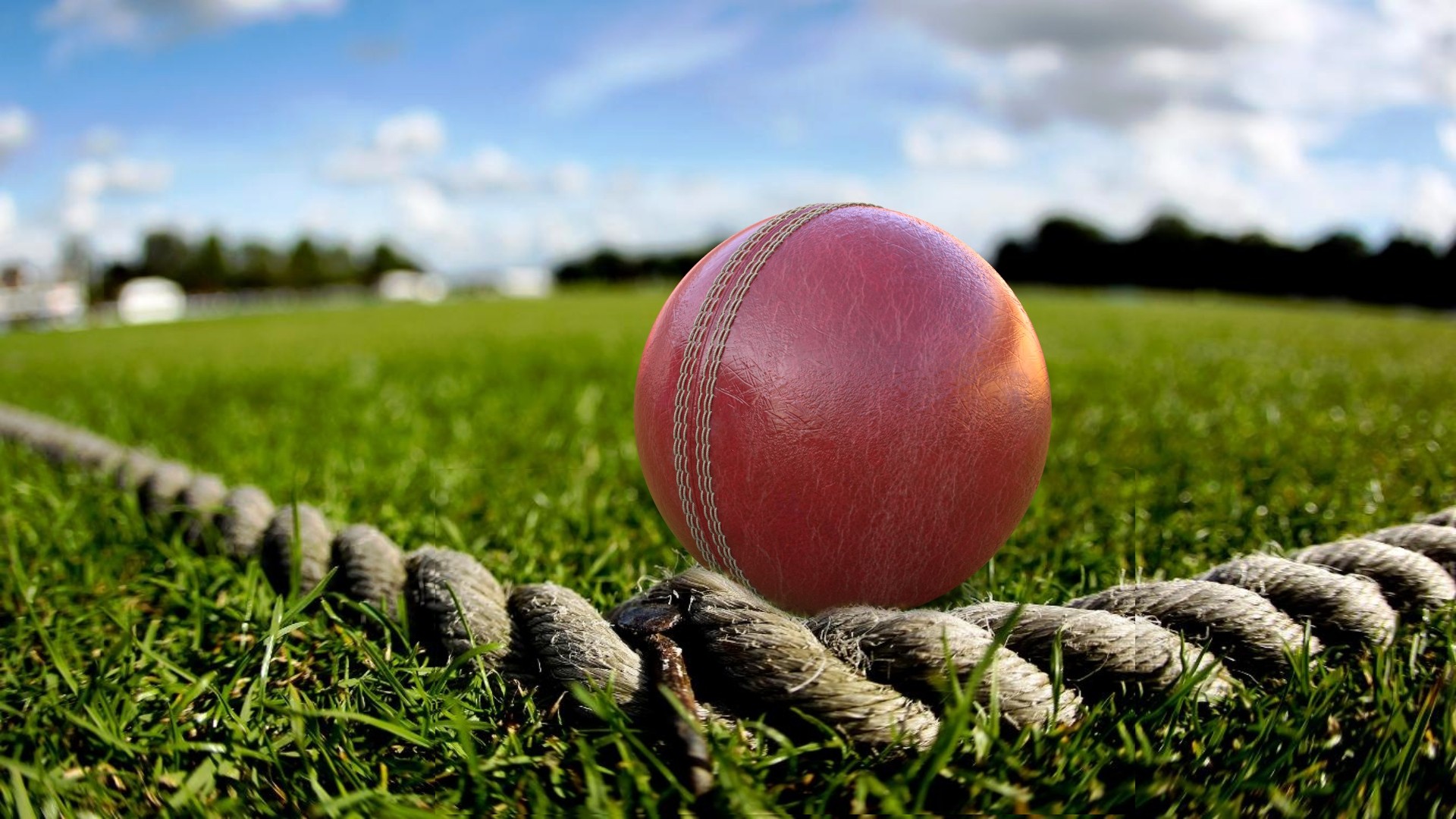 Cricket Ball Free 3D Model - .obj - Free3D