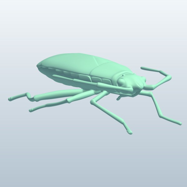 Boxelder Bug v1 Free 3D Model - .obj .stl - Free3D