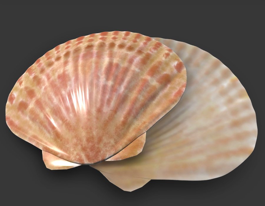 Sea Shell PBR Free 3D Model - .obj .mb .fbx - Free3D