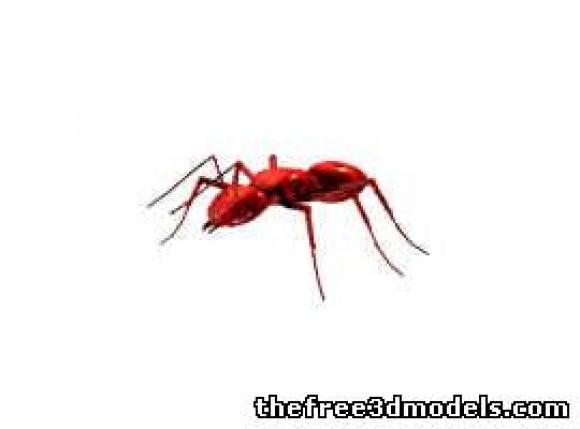 Red Ant Free 3D Model - .3ds .obj .max .lwo .mtl .sldprt - Free3D