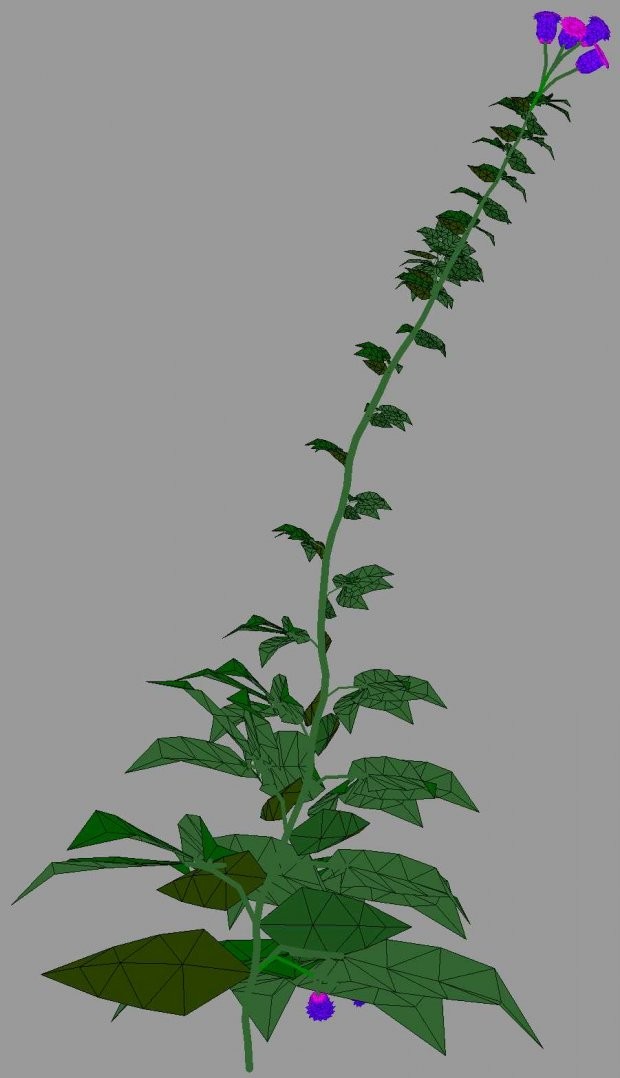 Flower 18 Free 3D Model - .3ds .obj .lwo .mtl .dxf - Free3D