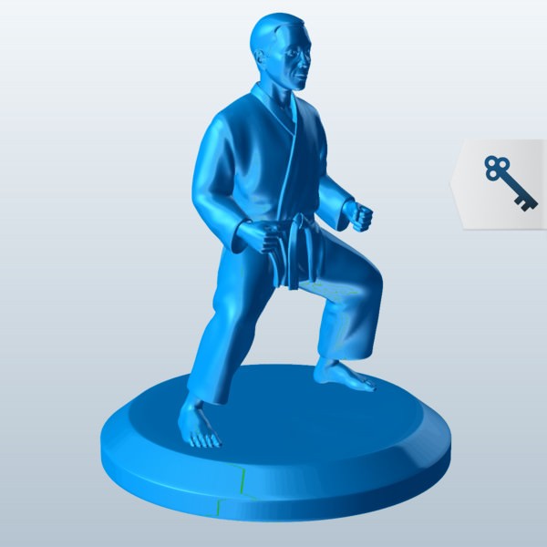 Karate Kiba Dachi Stance v1 Free 3D Model - .obj .stl - Free3D