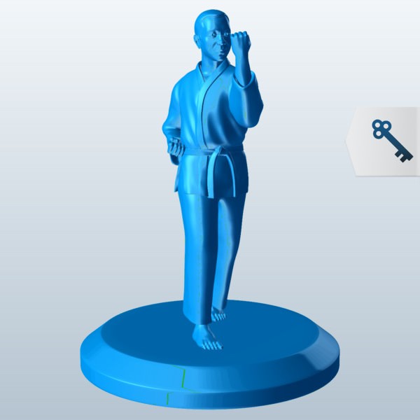 Karate Uppercut v1 Free 3D Model - .obj .stl - Free3D