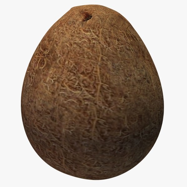 Coconut Whole v01 Free 3D Model - .obj .stl - Free3D