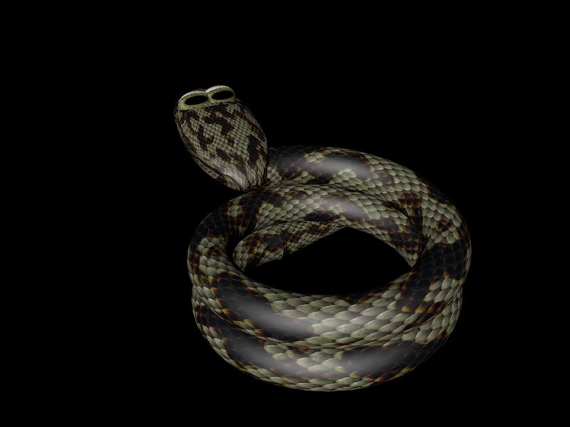Snake Free 3D Model - - Free3D