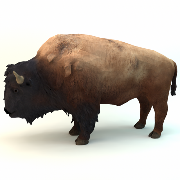 Bison Free 3D Model - .3ds .obj .fbx .dxf - Free3D