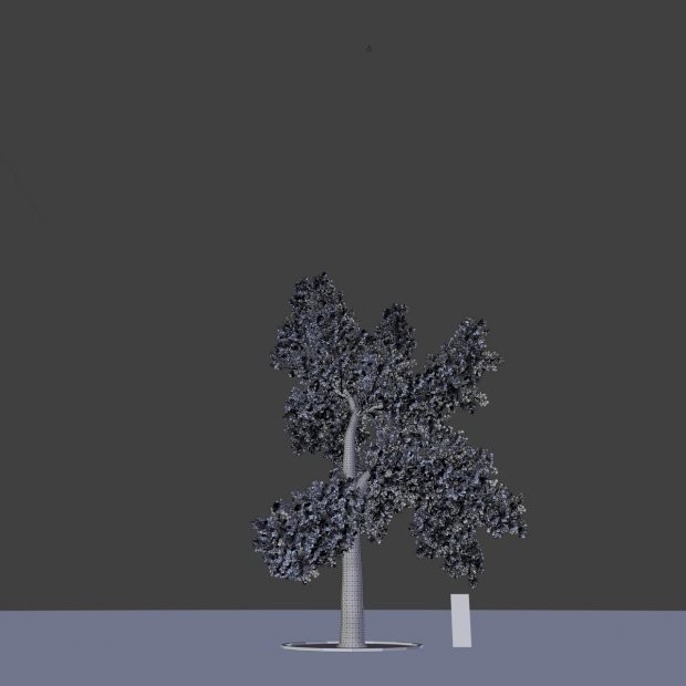 Tree Oak V11 Free 3D Model - .obj - Free3D