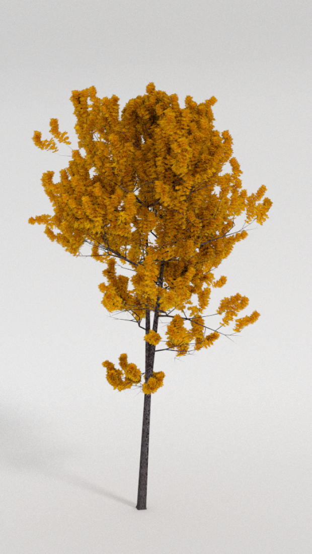 Realistic Trees Scene Free 3D Model - .blend - Free3D