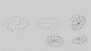 LEMON Free 3D Model - .fbx - Free3D