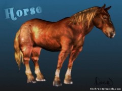 Cavallo Gratuiti 3D Modelli Scaricare - Free3D