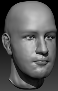 High-poly head Free 3D Model - .ztl - Free3D