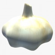 Garlic Free 3D Models download - Free3D